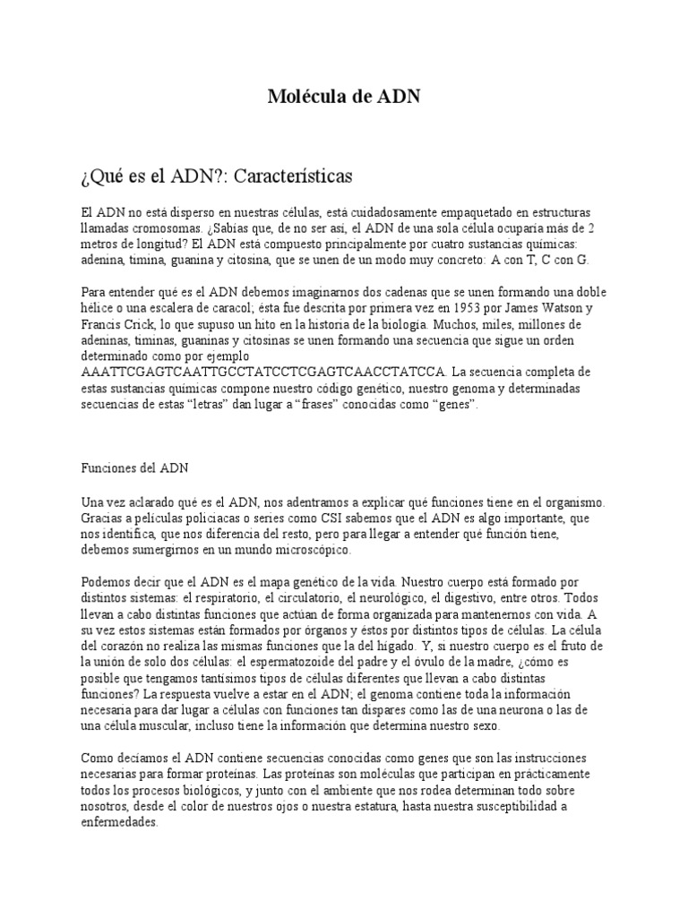 ¿Qué Es El ADN?: Características: Molécula de ADN | PDF | Adn | Genética