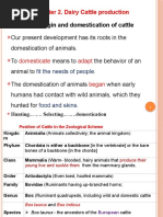 Module I. Beef Cattle Production | PDF | Cattle | Calf