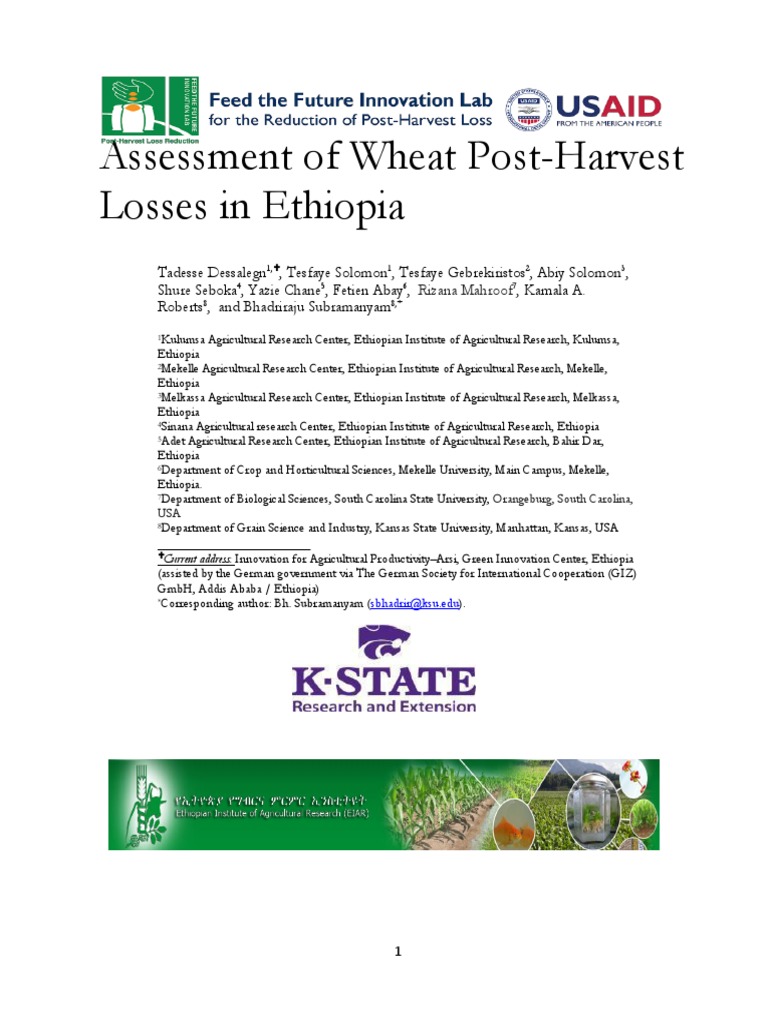 Ethiopia - Economics of Wheat Post Harvest Losses | PDF | Wheat | Agriculture