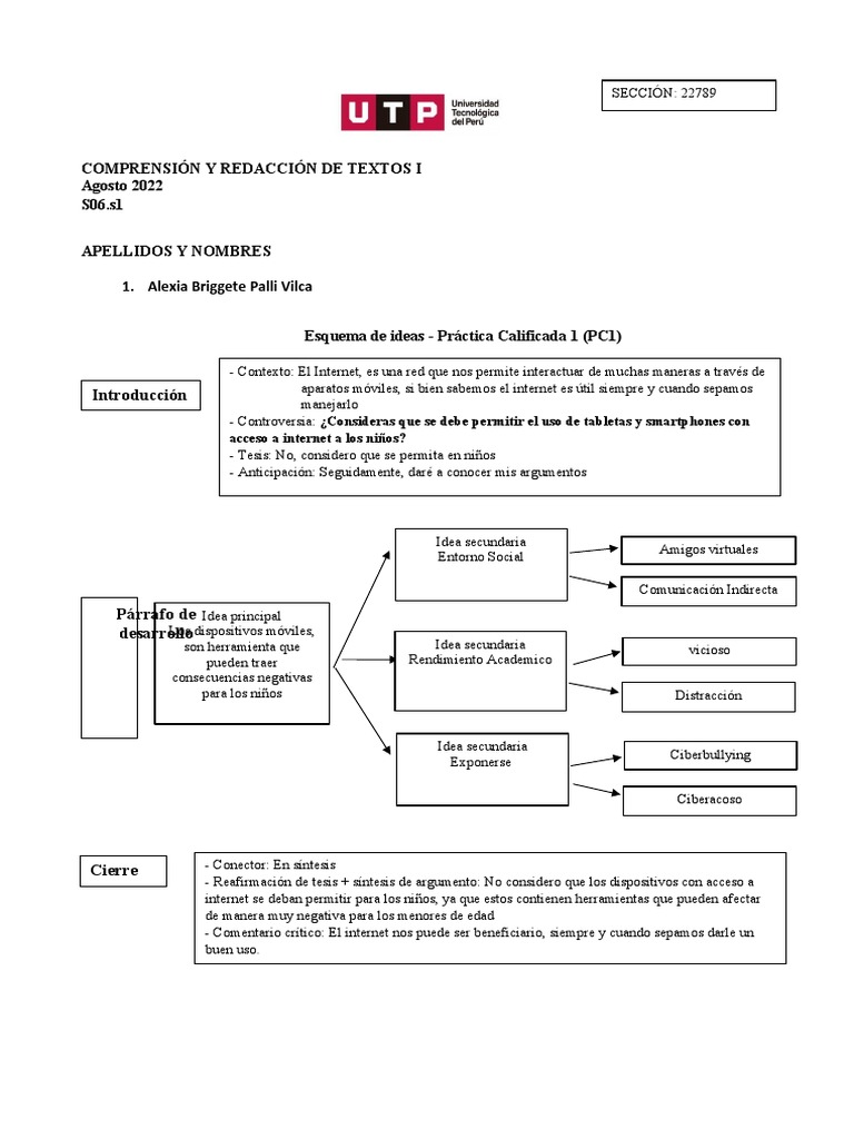 Esquema de Ideas para La PC1 | PDF | Informática