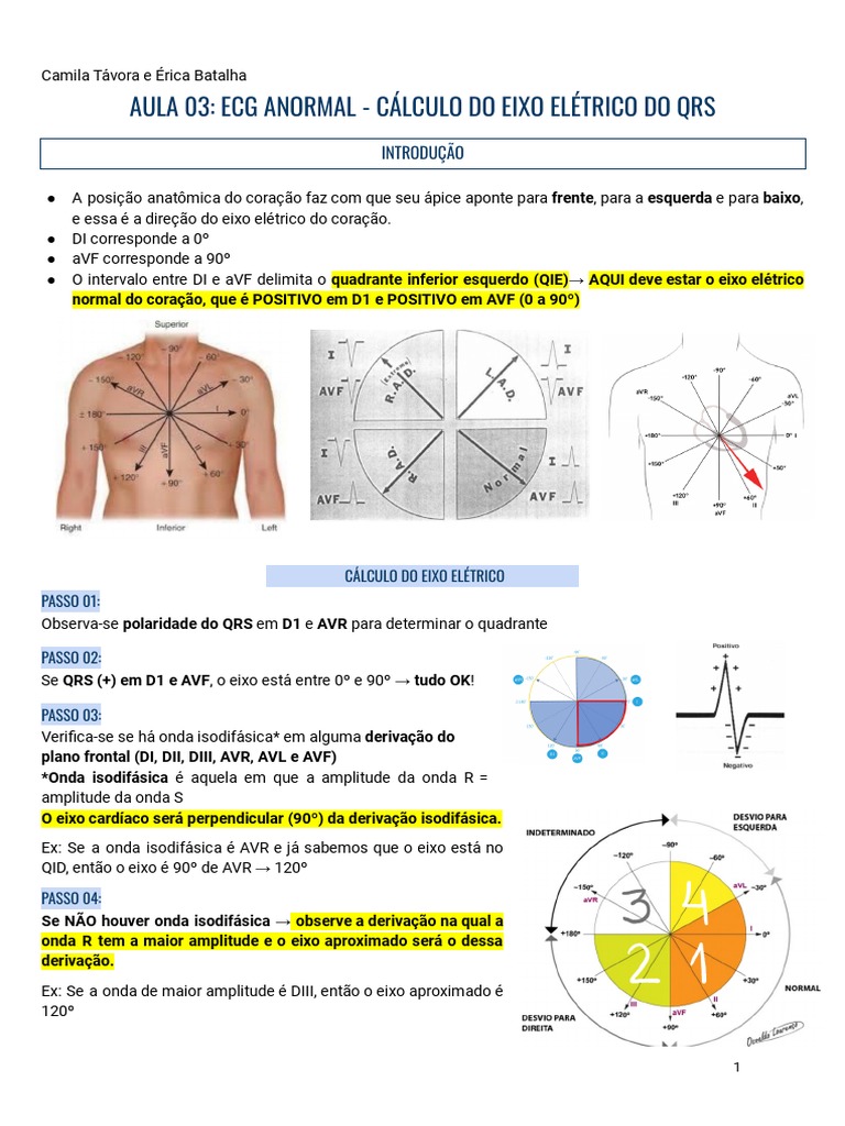 Ecg - Aula 03 | PDF | Eletrocardiografia | Coração