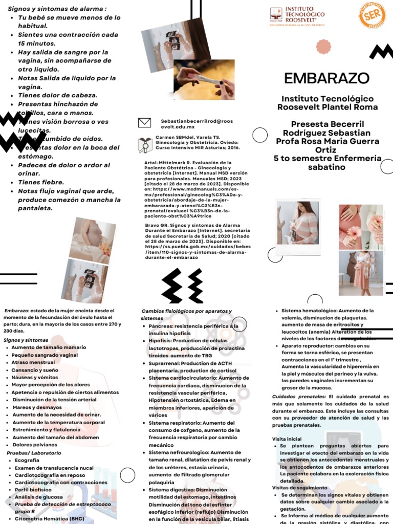 Triptico Embarazo | PDF | El embarazo | Especialidades Medicas