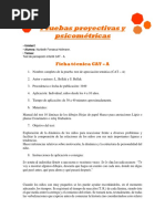 Ficha Técnica del Test CAT | PDF | Psicoanálisis | Conceptos psicologicos