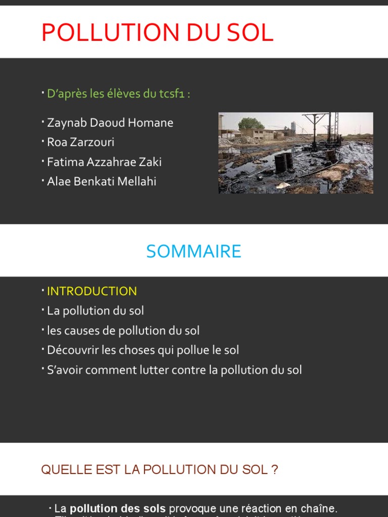 Pollution Du Sol | PDF | la pollution | Sol (pédologie)