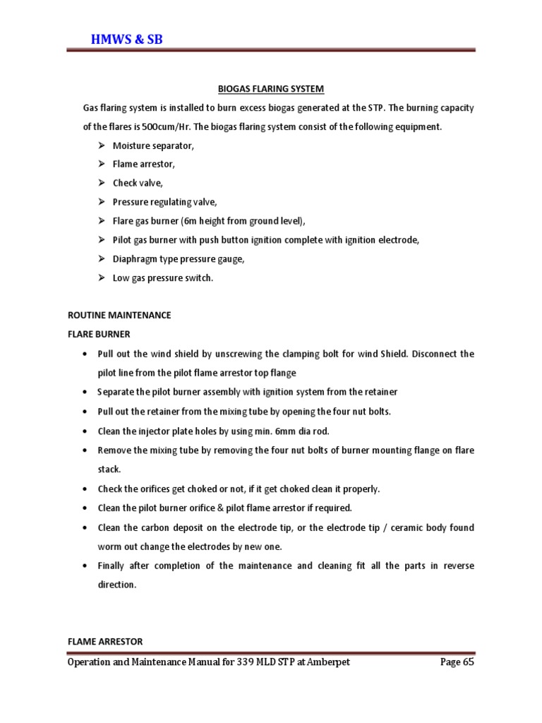 Bio Gas Flaring System | PDF | Valve | Combustion