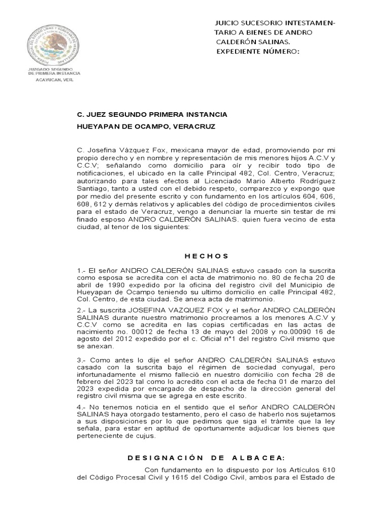 Denuncia Intestamentaria | PDF | Derecho Civil (Common Law) | Gobierno