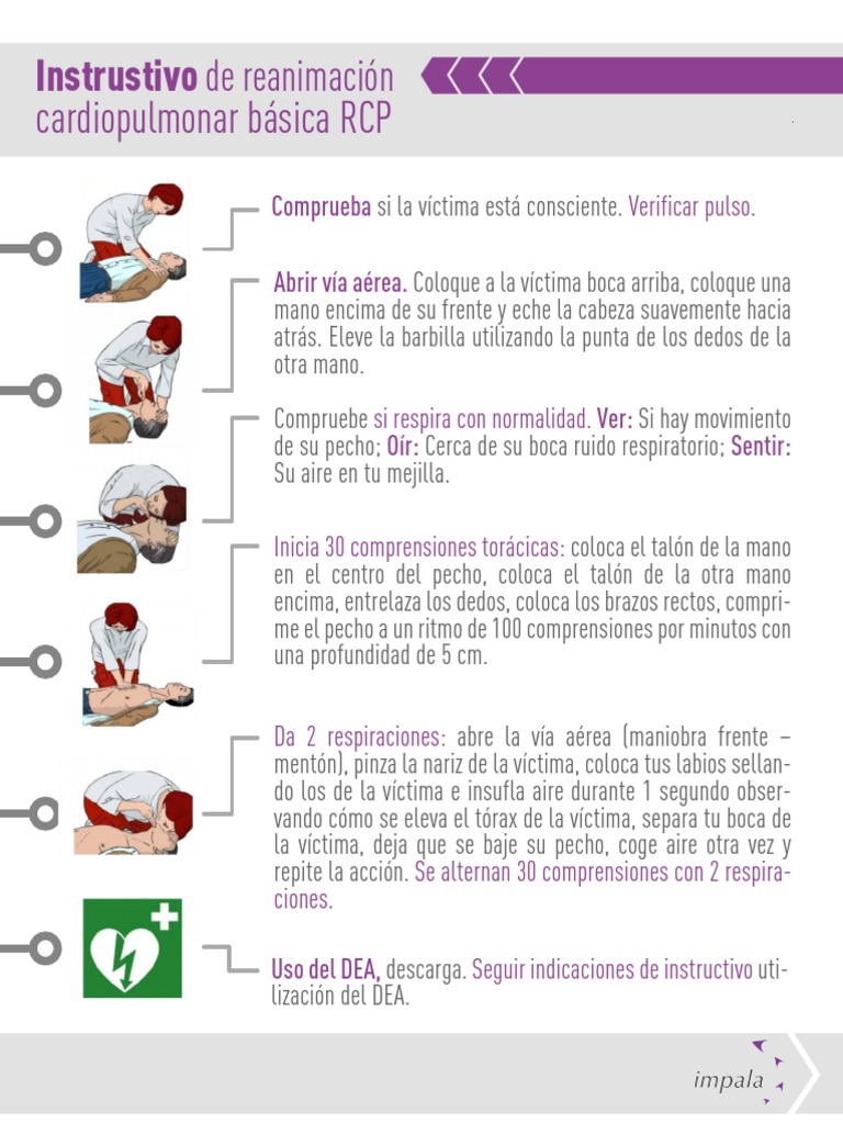 Cómo realizar la reanimación cardiopulmonar básica (RCP) | PDF