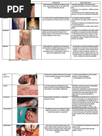 Clasificación de Los Tipos de Heridas | PDF | Piel | Herida
