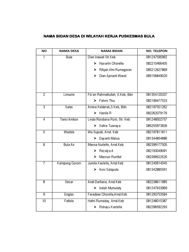 Daftar Bidan Desa Puskesmas Bula | PDF
