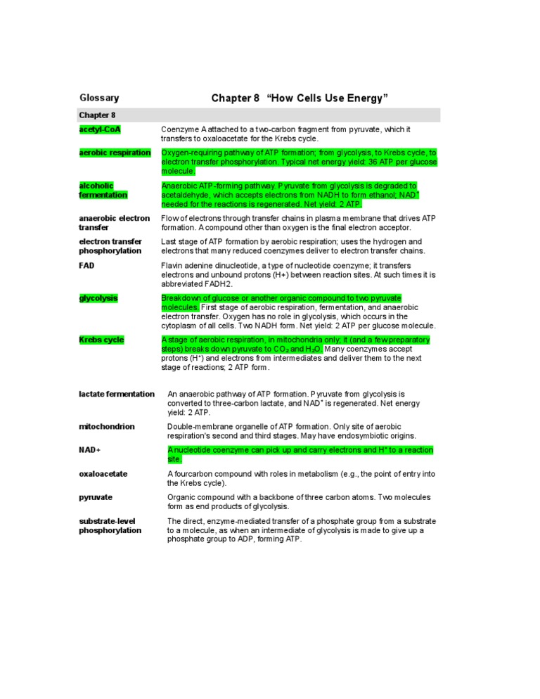 Energy Use in Cells: Key Terms Explained | PDF