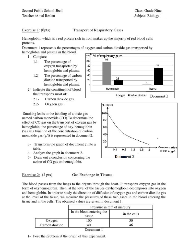 Exercise 1: (6pts) Transport of Respiratory Gases | PDF | Hemoglobin ...