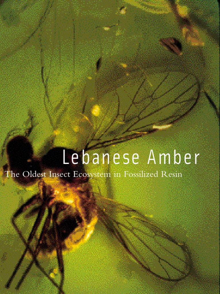 Lebanese Amber, Oldest Insect Ecosystem in Fossilized Resin 2001 | PDF ...