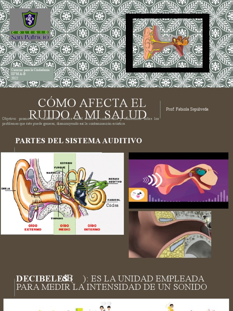 Impacto del Ruido en la Salud Auditiva | PDF | Escuchando | Sonido