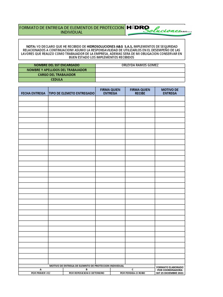 Formato Entrega de Epi Actualizado | PDF