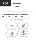 Grade 2 Science Examination | PDF | Electricity | Magnetic Field