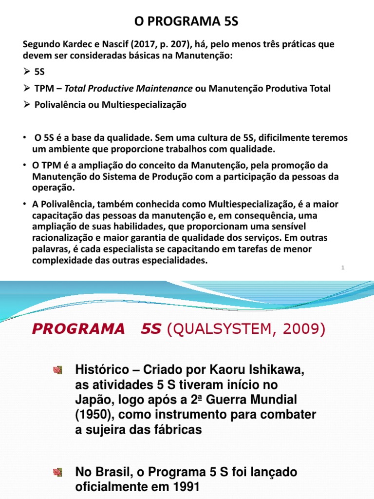 Programa 5S | PDF