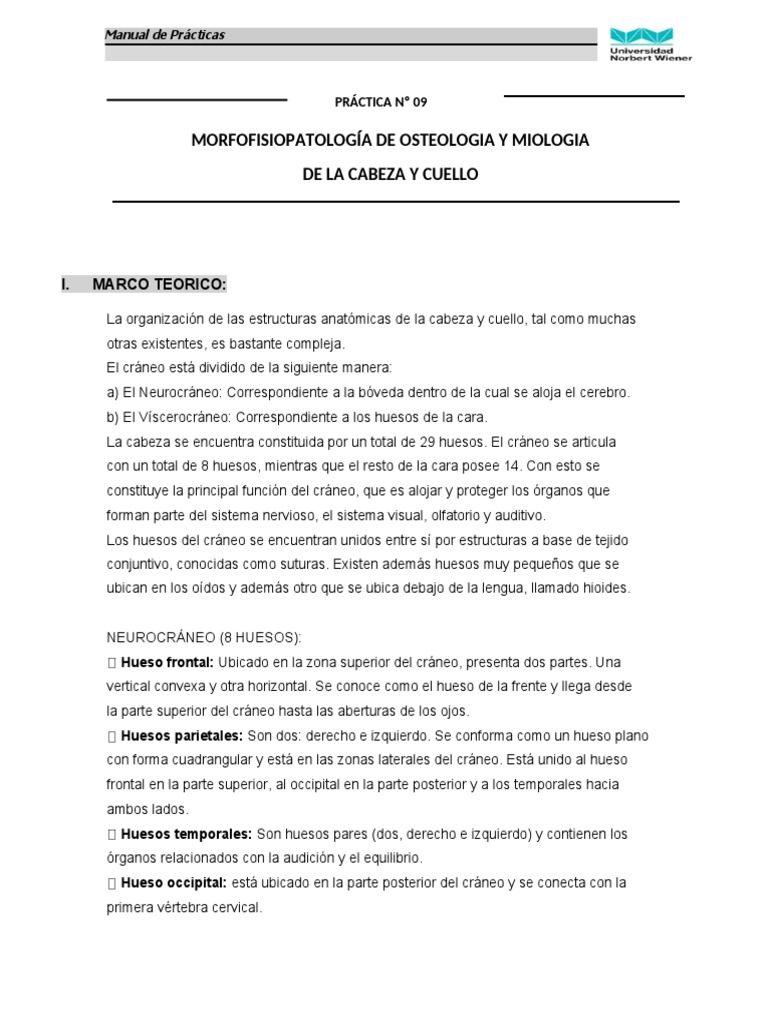 Guía Práctica Sobre La Morfología Y Fisiopatología De La Cabeza Y El