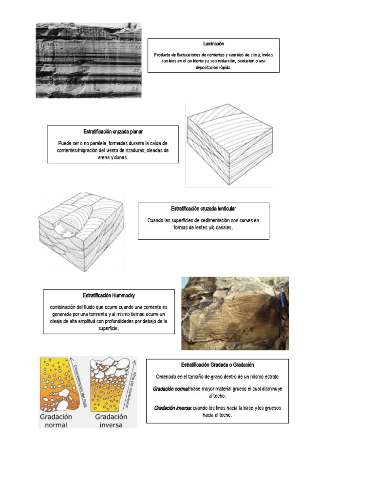 Resumen Estructuras Sedimentarias | PDF | Ciencias de la Tierra ...