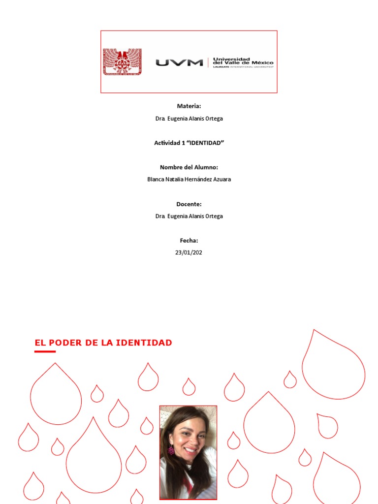 Borrador 1 | PDF | Facebook | Chat en linea