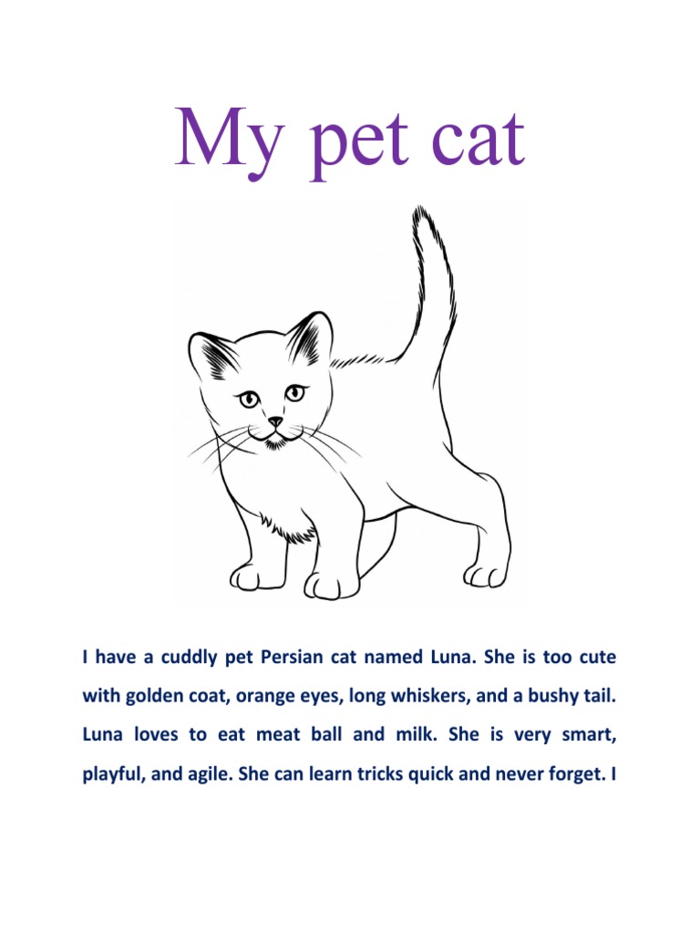 My Pet Cat | PDF