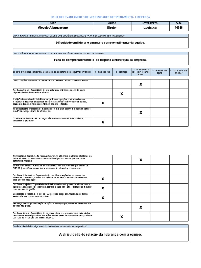 MODELO LNT Liderança | PDF | Liderança | Qualidade (negócios)