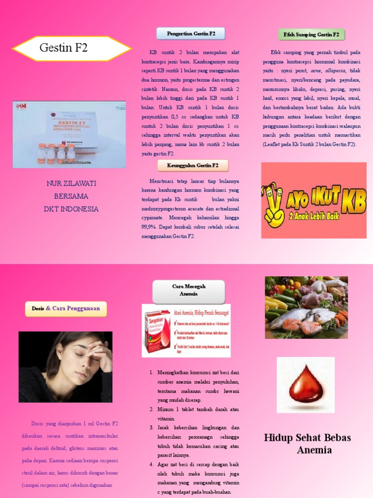 Leaflet Anemia | PDF