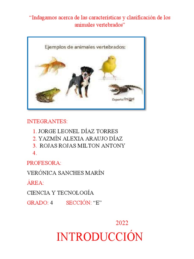 Informe de Los Animales Vertebrados | PDF | Anfibio | Reptil