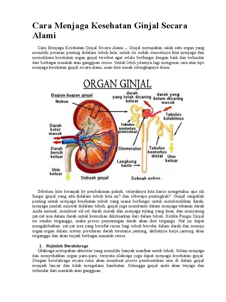 12 Cara Menjaga Kesehatan Ginjal | PDF