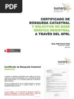 Manual del Visor BGR SUNARP | PDF | Sistema coordinado | Botón (Computación)