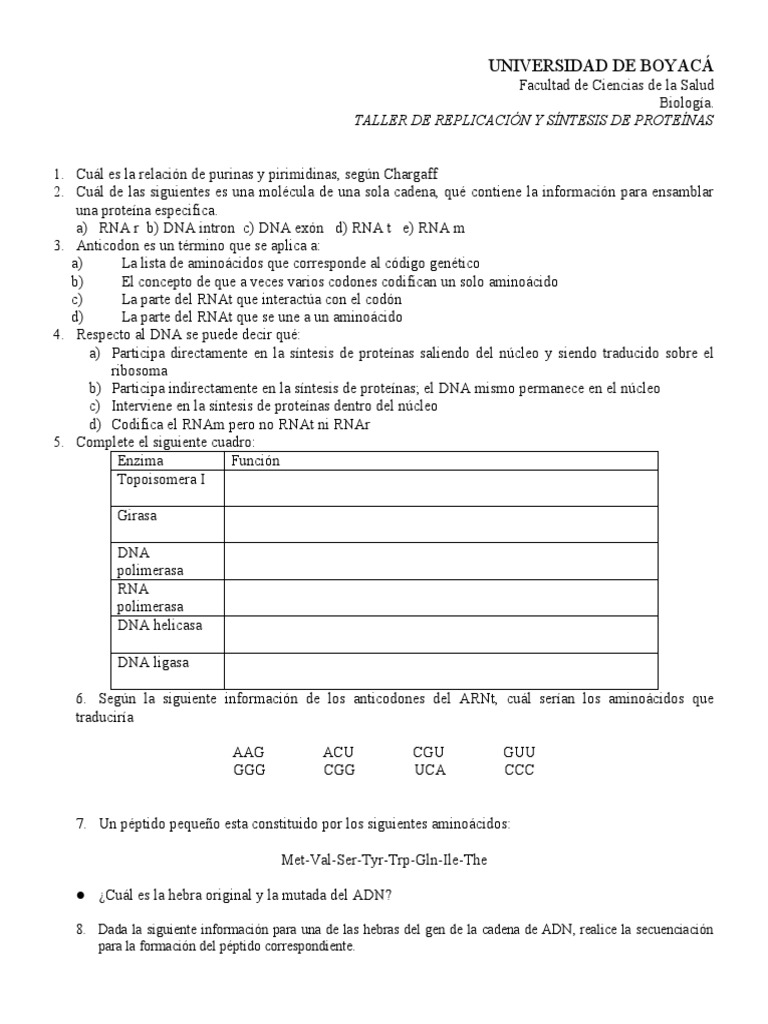 Taller Replicacion y Traduccion - 202220 | PDF | Adn | Codigo genetico