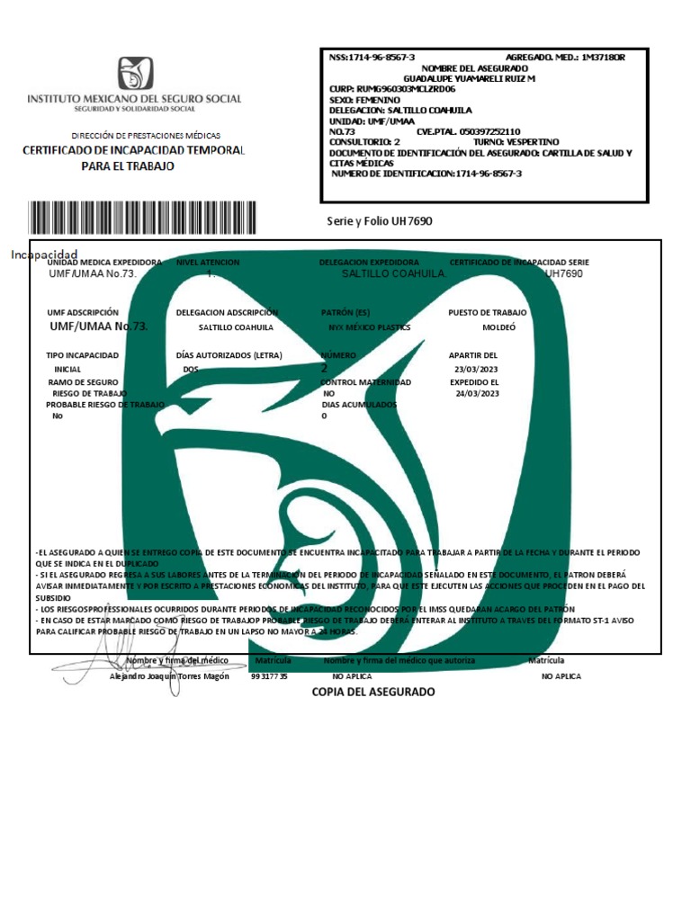 Copia de Copia de FORMATO IMSS | PDF