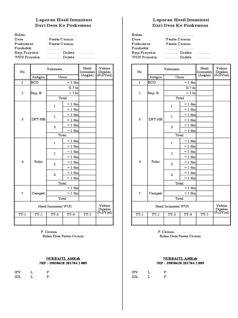 Laporan PHN Tahunan | PDF