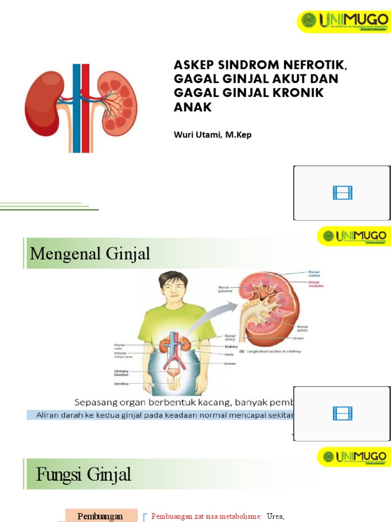 Askep Anak Dengan NS, Gagal Ginjal Akut Dan Kronik 4 | PDF