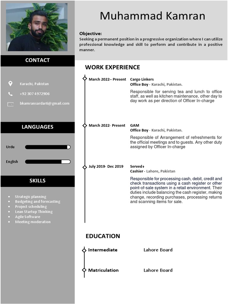 Kamran CV | PDF | Economies | Service Industries