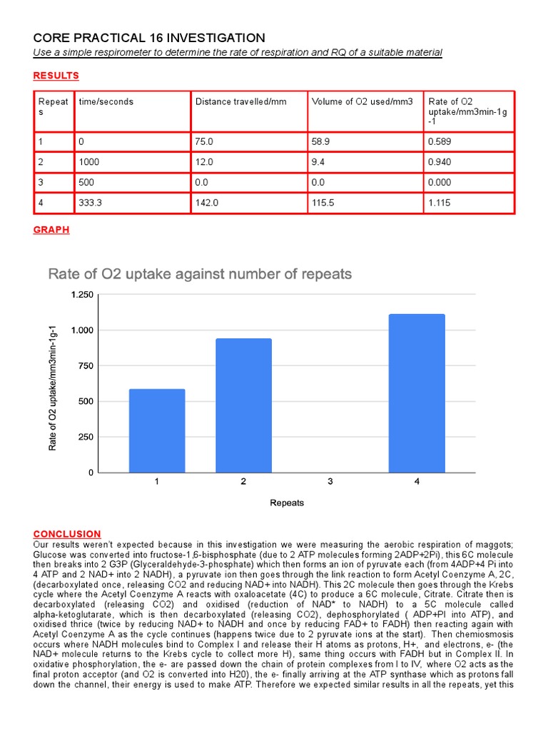 Rate of respiration and RQ of maggots | PDF