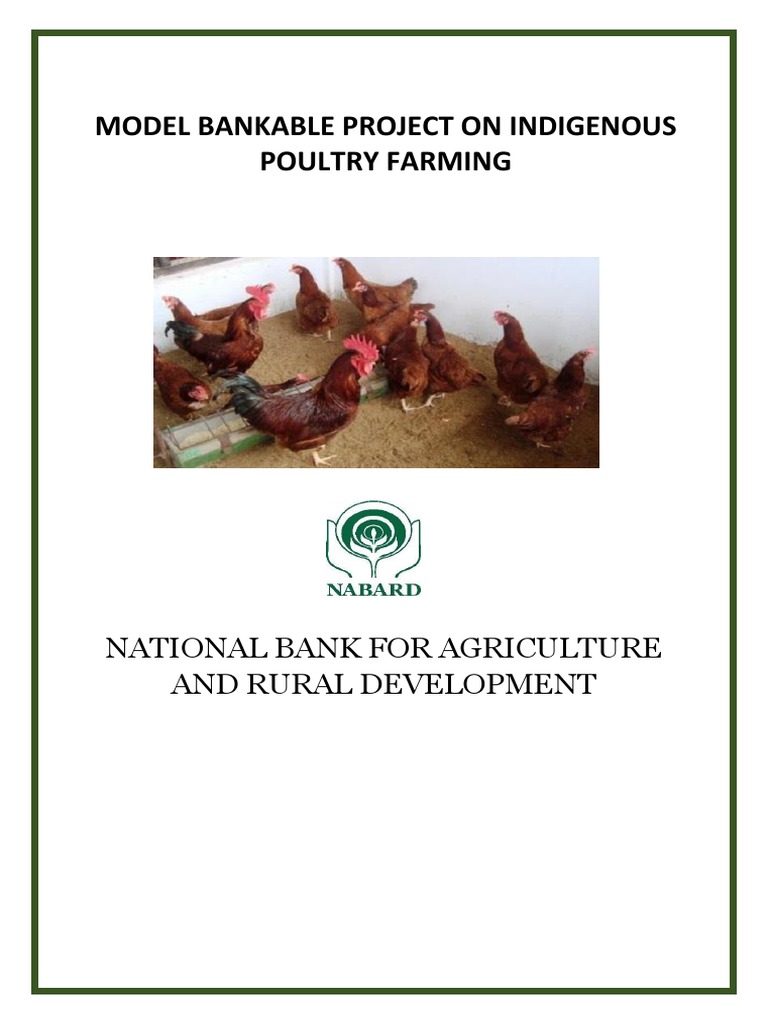 Model-Indigenous Poultry Farming English | PDF | Poultry Farming | Poultry