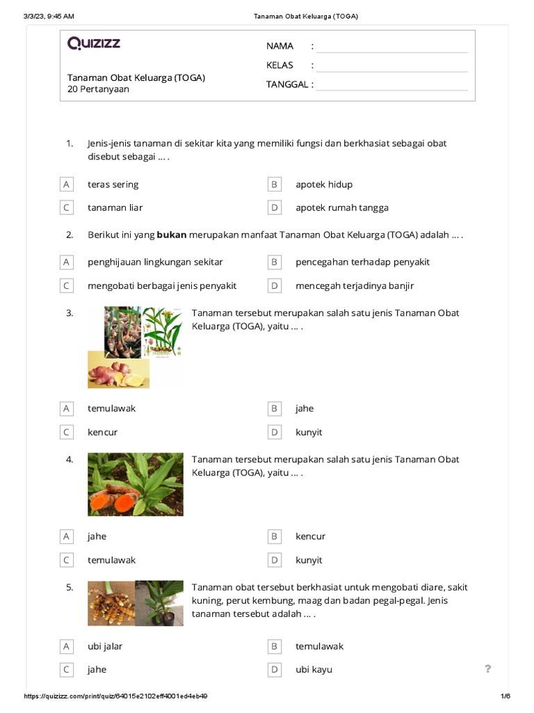 KUIS Tanaman Obat Keluarga (TOGA) | PDF