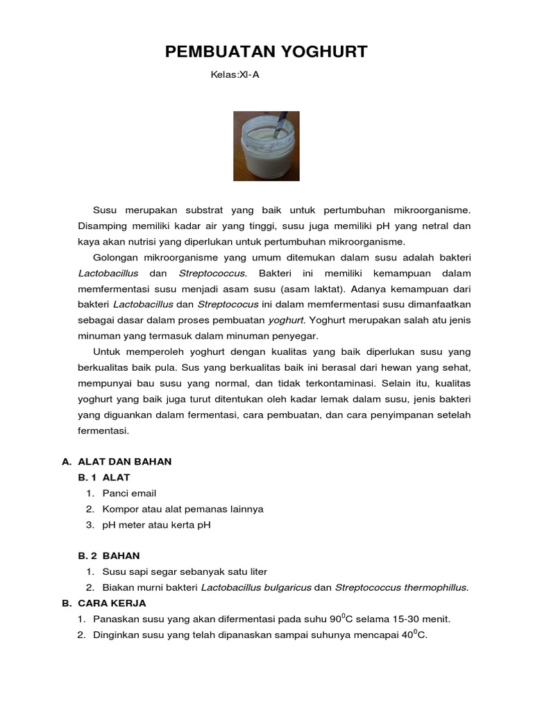 Pembuatan Yoghurt | PDF