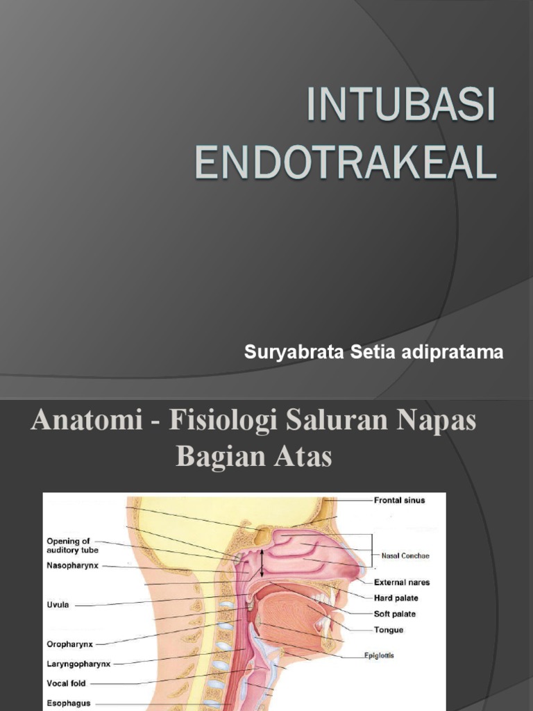 Intubasi - Suryabrata | PDF
