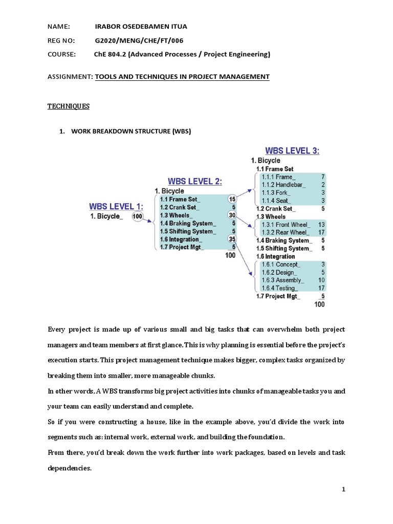 Project Management Techniques Overview | PDF | Project Management | Software Development Process