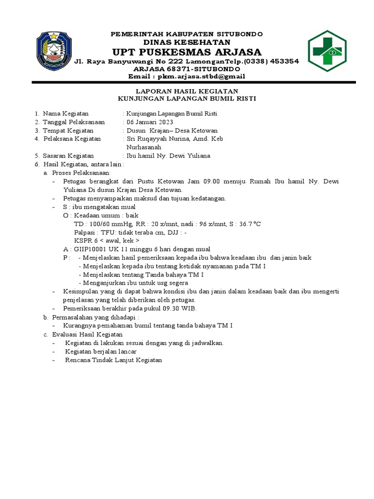 LHK KR Bumil Dewi Yuliana | PDF