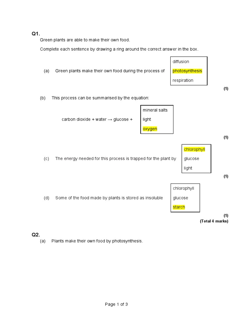 Exploring Photosynthesis: The Process That Allows Green Plants to Make ...