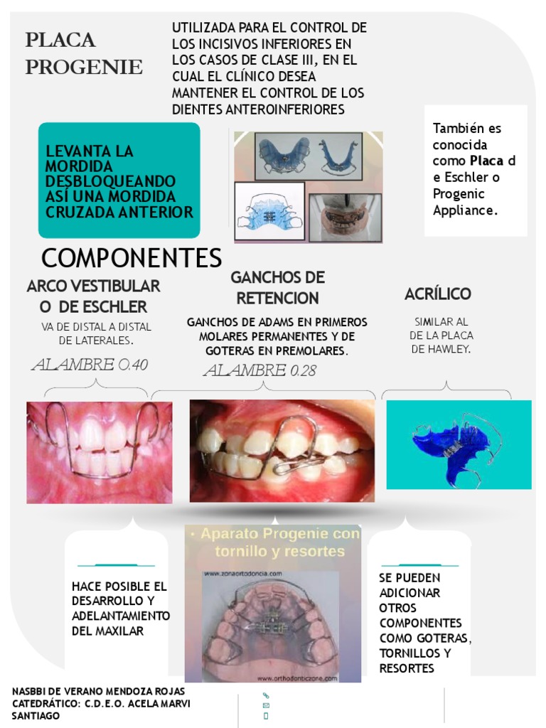 Placa Progenie | PDF