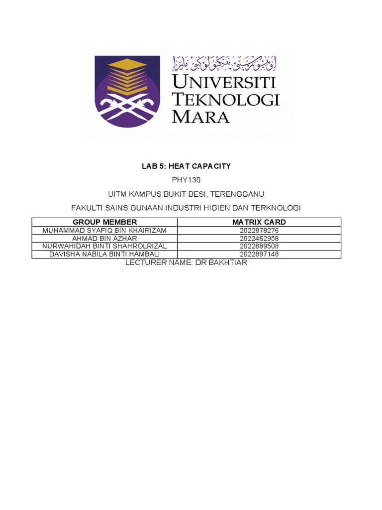 Specific Heat Capacity Lab Report | PDF | Heat | Heat Transfer