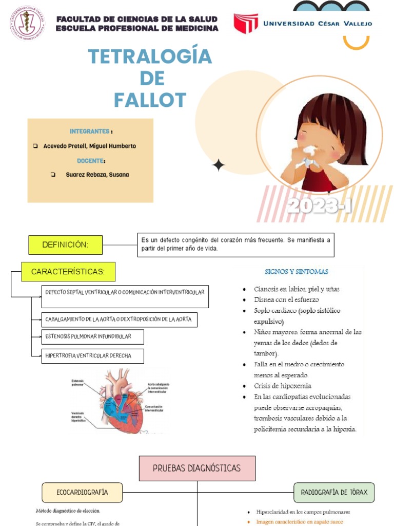 Síntomas y Tratamiento de Tetralogía de Fallot | PDF | Testículo ...