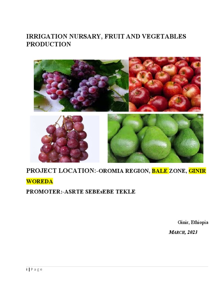 Fruit and Vegetable Production Project | PDF | Agriculture | Plant Nursery