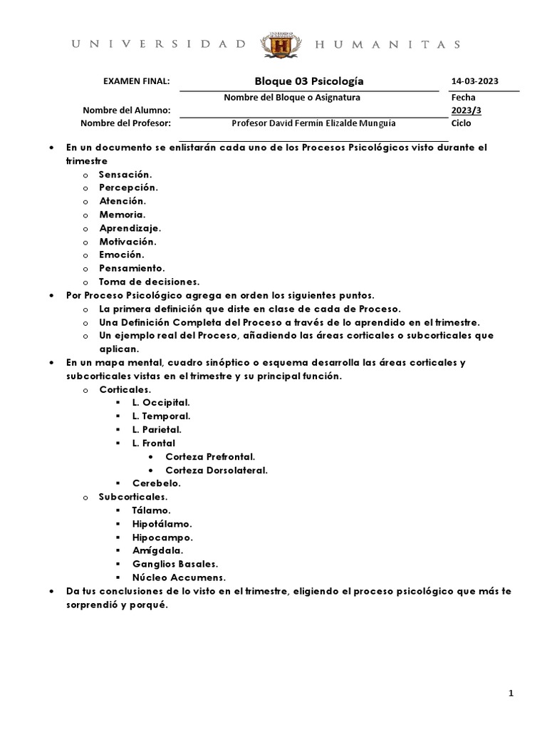 Examen Final Bloque 3 Procesos Psicológicos | PDF | Corteza cerebral ... Examen Final Bloque 3 Procesos Psicológicos | PDF | Corteza cerebral ...