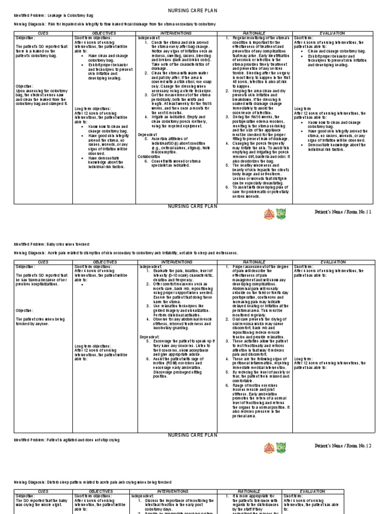 Nursing Care Plan: Cues Objectives Interventions Rationale Evaluation ...