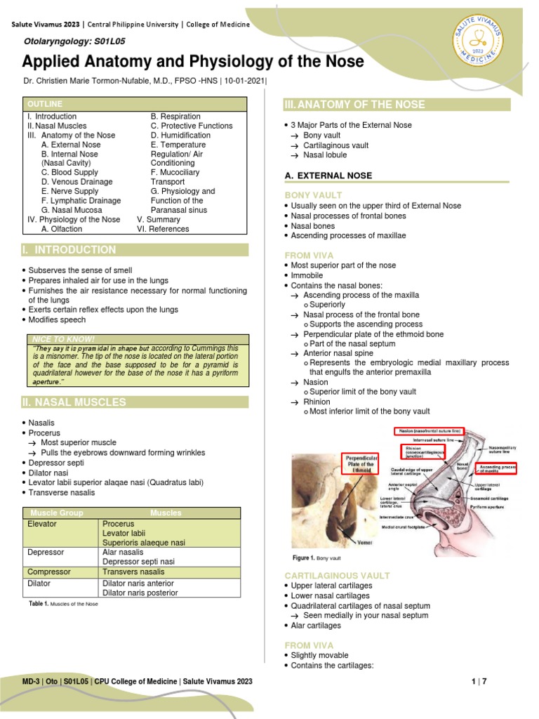 An In-Depth Exploration of the Applied Anatomy and Physiology of the Nose | PDF | Human Nose ...