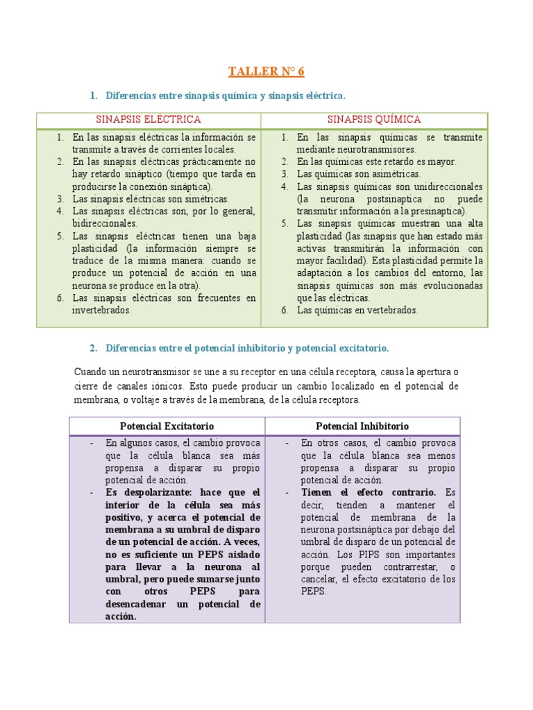 Taller N6 | PDF | Sinapsis | Sinapsis química